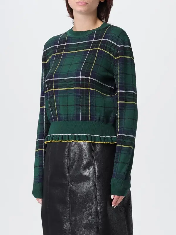Alexander McQueen Jumper Colour