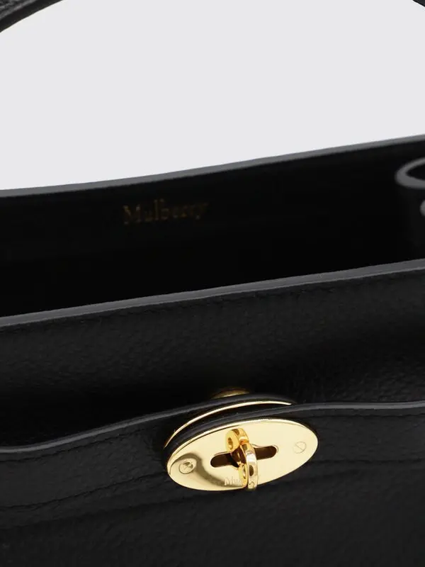 Mulberry Mini Bag Colour