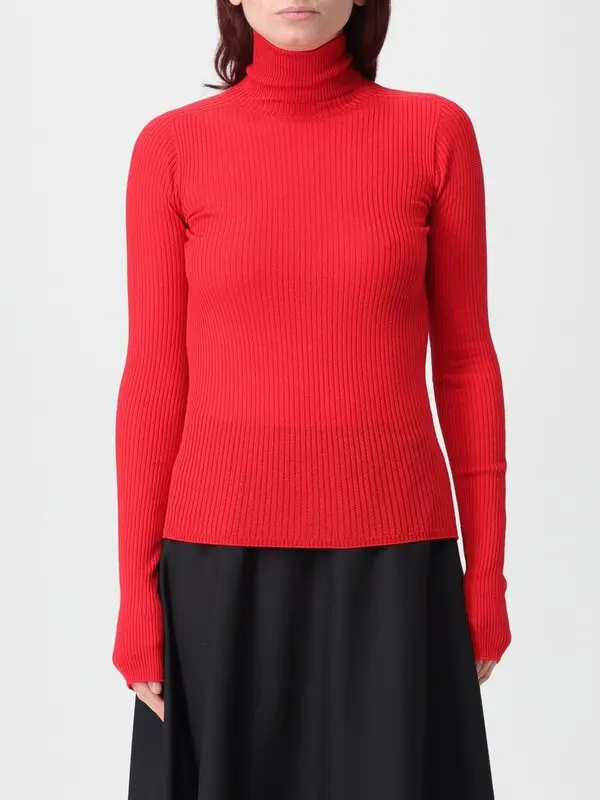 Sportmax Jumper Colour - Grey