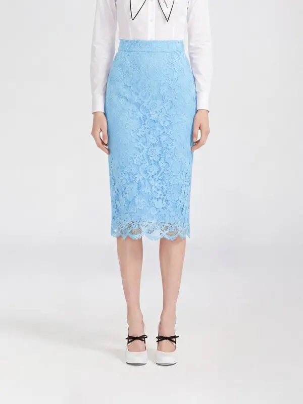 Dolce & Gabbana Skirt Colour
