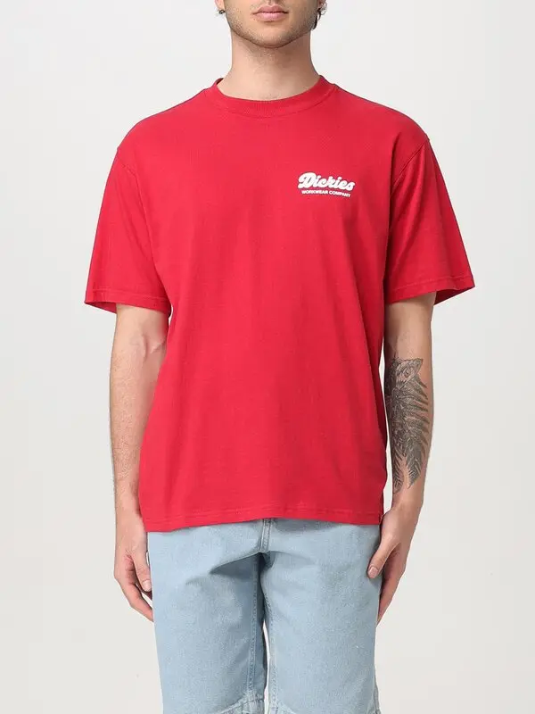 Dickies T-shirt Colour