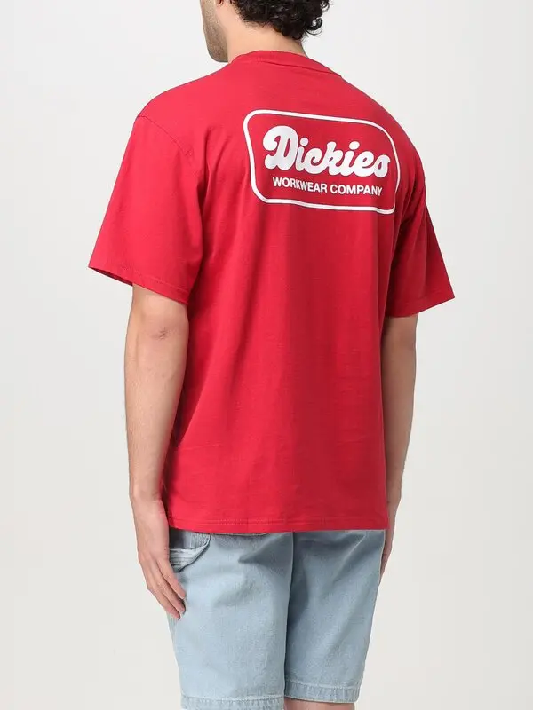 Dickies T-shirt Colour