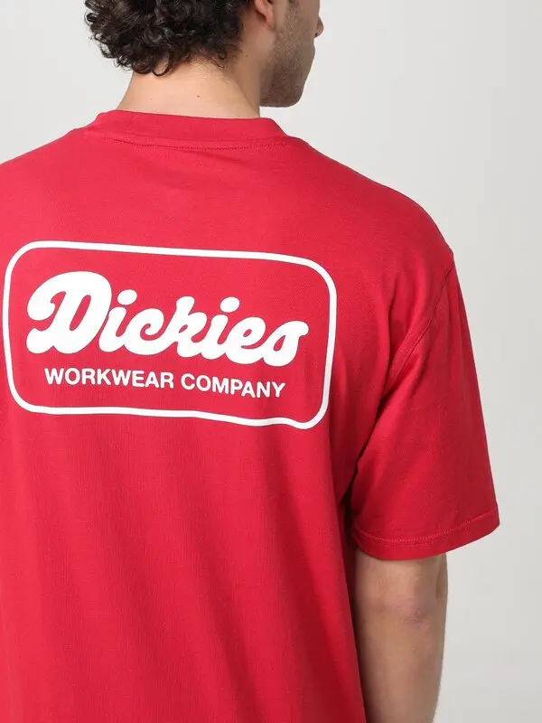 Dickies T-shirt Colour