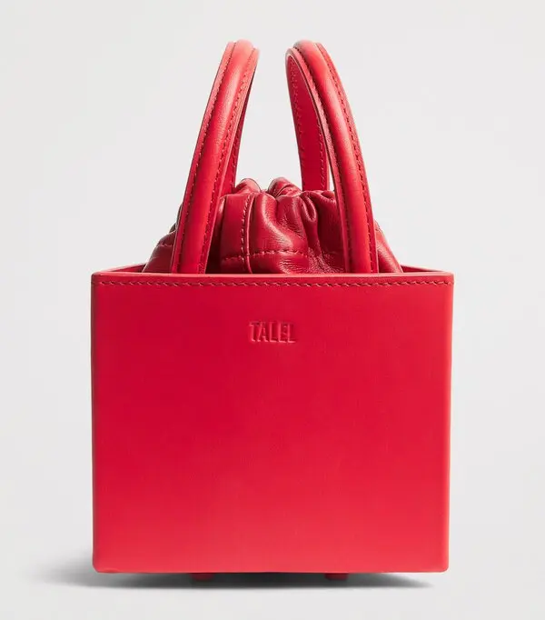 TALEL PARIS Small Leather Triangle Bag