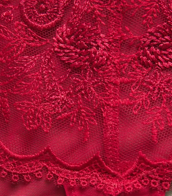 Simone Perele Lace Intrigue Tanga Briefs