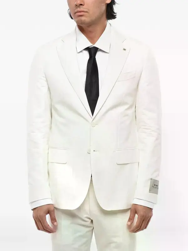 Corneliani Cc Collection Single-breasted Two-button Suit