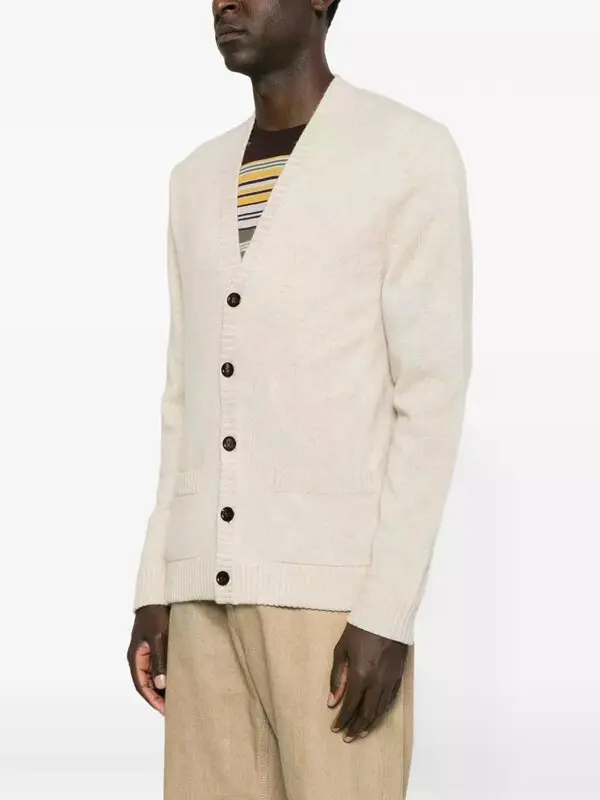 Eric Bompard V-neck Cashmere Cardigan