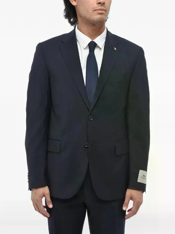 Corneliani Single-breasted Mohair-blend Suit