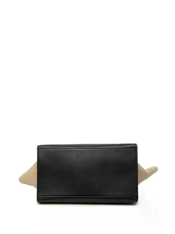 Celine Tricolor Calfskin And Canvas Trapeze Satchel