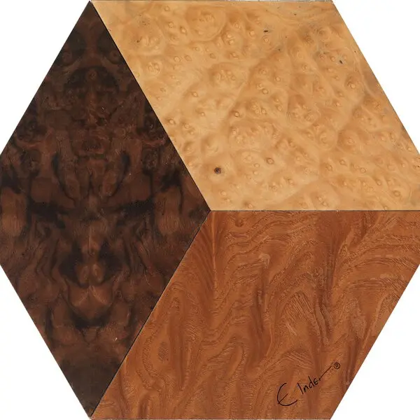 E. INDER DESIGNS Neutrals / Hexagonal Coaster Set Of Four. Mixed Wood Designs With Melamine Coating For Heat Resistance - Brown