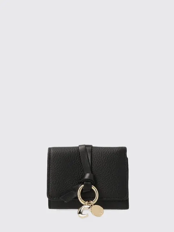 Chloé Wallet Colour