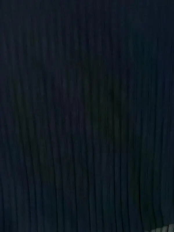 Max Mara Vesuvio Pleated Shrug