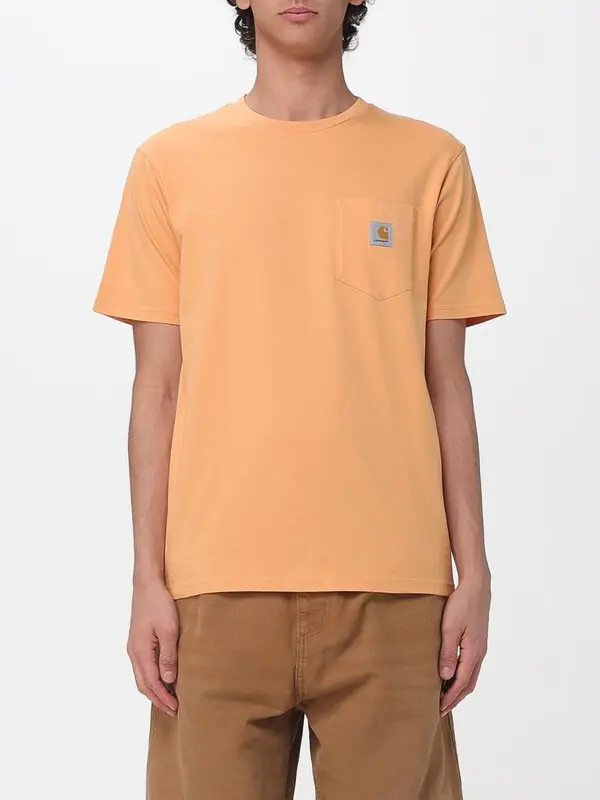 Carhartt Work In Progress T-shirt Colour