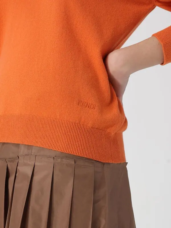 Fendi Jumper Colour