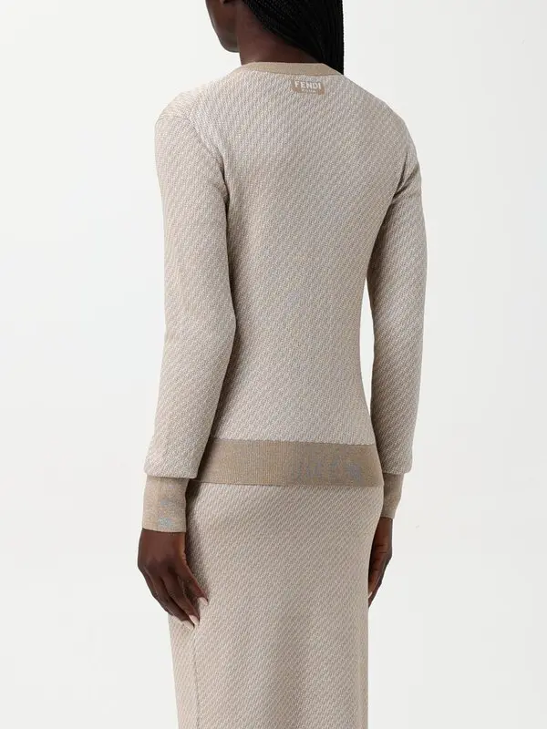 Fendi Jumper Colour