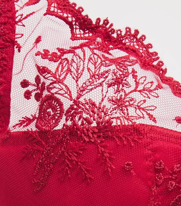 Simone Perele Lace Intrigue Plunge Push-up Bra