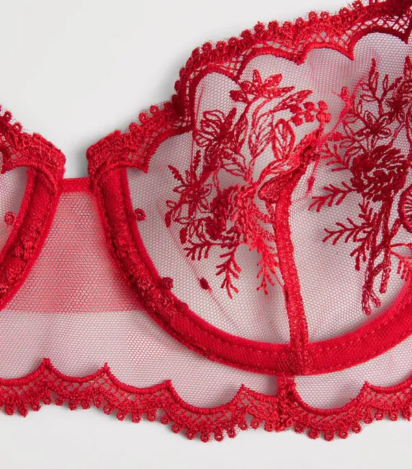 Simone Perele Lace Intrigue Half-cup Bra