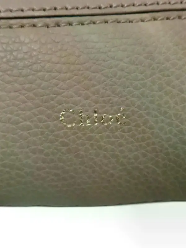 Chloé Walden Chain Mini Bag