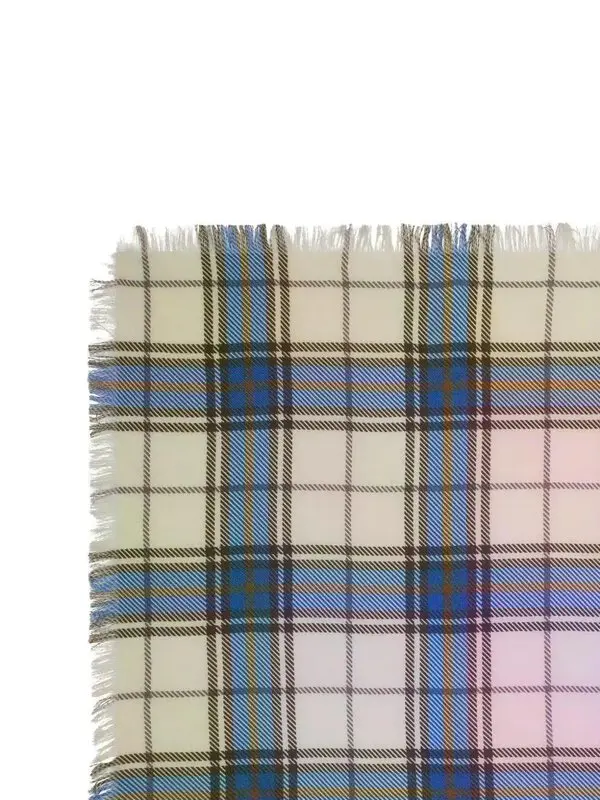 Eric Bompard Tartan-print Fringed Scarf - Neutrals