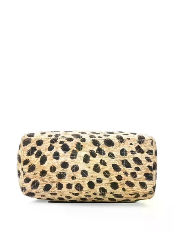 Dior 1997 Medium Canvas Cannage Leopard Print Lady Satchel