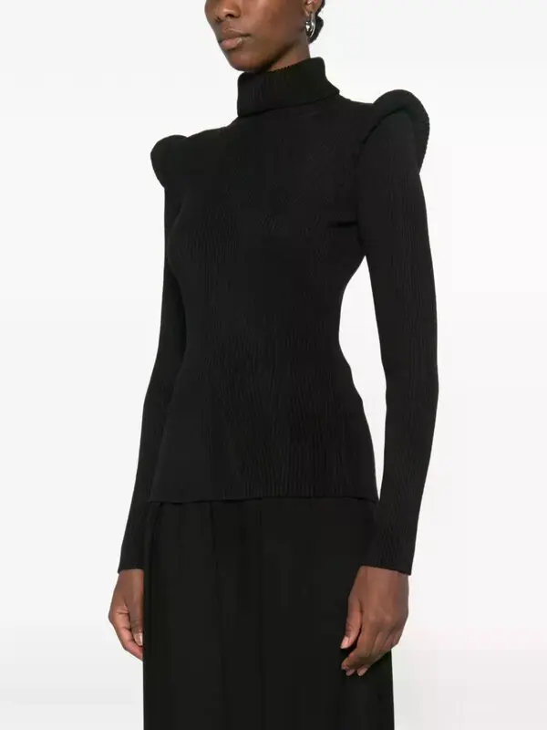 Elisabetta Franchi Ribbed-knit Turtleneck Sweater