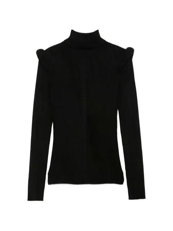 Elisabetta Franchi Ribbed Knit Turtleneck Sweater - Black