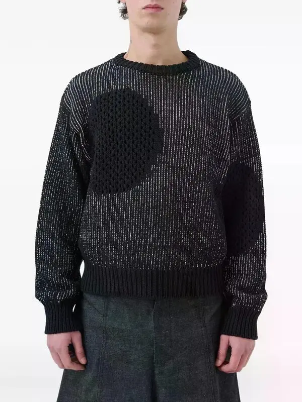 SAGE NATION Weave Cropped Sweater
