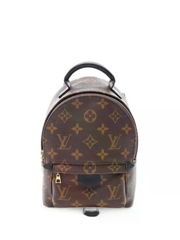 LOUIS VUITTON 2020 Palm Springs Monogram Backpack