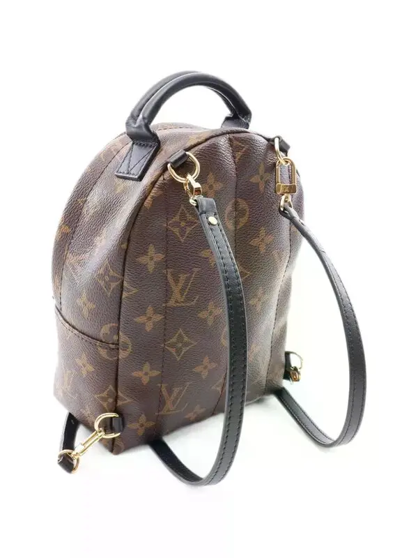 LOUIS VUITTON 2020 Palm Springs Monogram Backpack