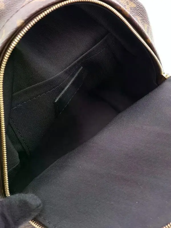 LOUIS VUITTON 2020 Palm Springs Monogram Backpack