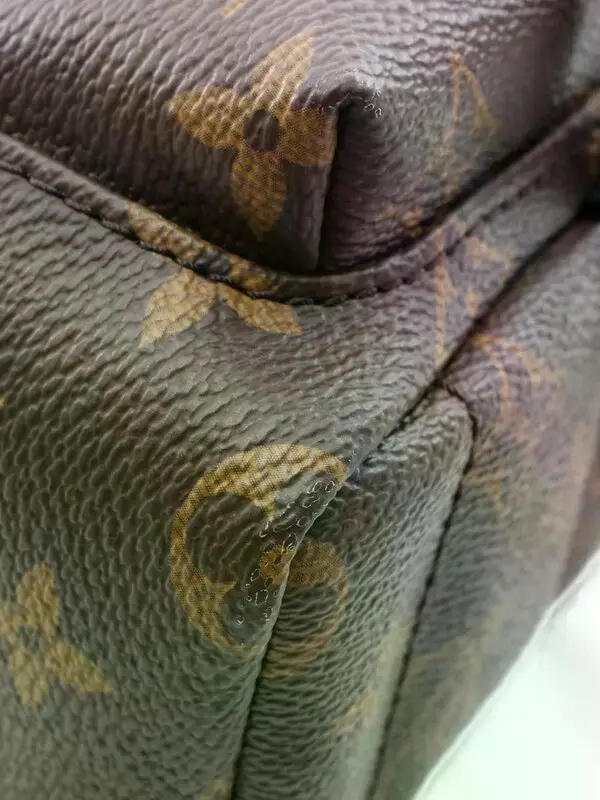 LOUIS VUITTON 2020 Palm Springs Monogram Backpack
