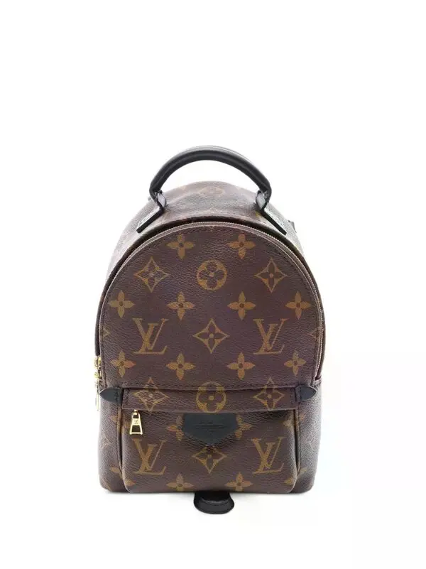 LOUIS VUITTON Monogram Palm Springs Backpack - Brown