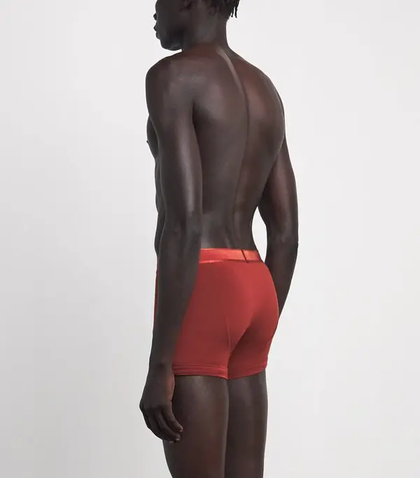 Emporio Armani Modal Logo Trunks