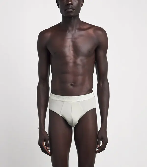 Emporio Armani Modal Logo Briefs