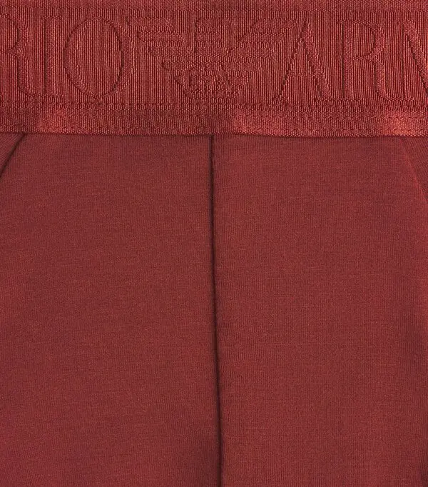 Emporio Armani Modal Logo Briefs