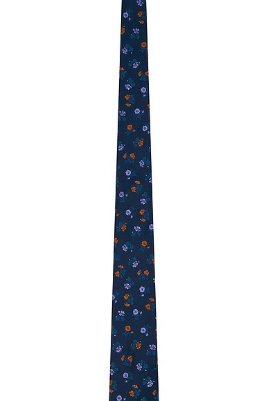 Dries Van Noten Tie