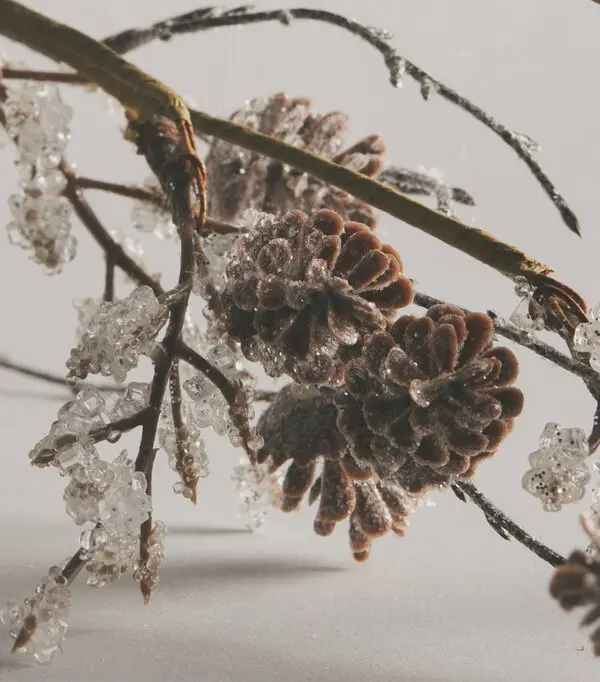 Harrods Glittery Berry Foliage Garland