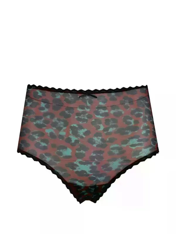 LAURA URBINATI Leopard-print Lace-trim Briefs - Brown