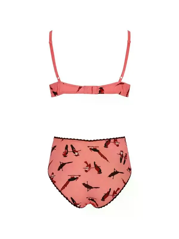 LAURA URBINATI Bird-print High-waisted Briefs