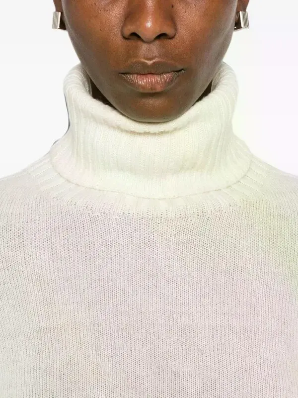 ARAGONA Roll-neck Ribbed-trim Sweater