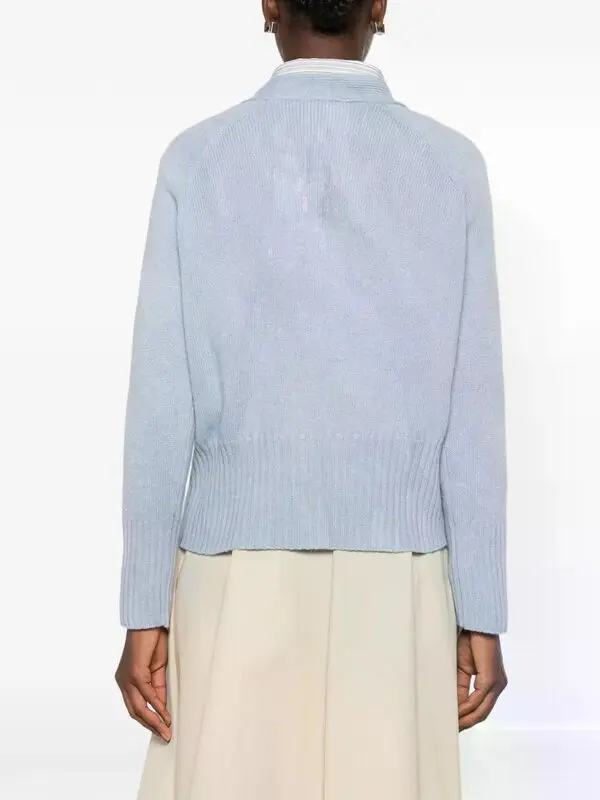 ARAGONA V-neck Ribbed-knit Cardigan