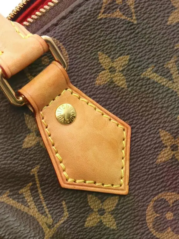 LOUIS VUITTON Speedy Bandoulière 20 Monogram Handbag