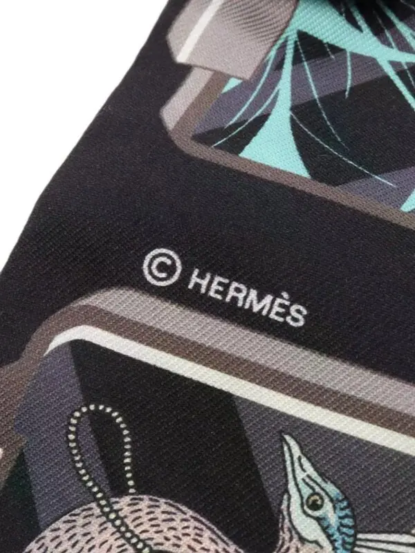 Hermès 2010s Story Ribbon Scarf