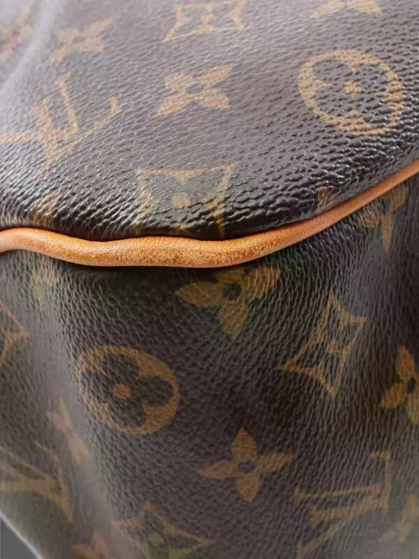 LOUIS VUITTON 2011 Delightful Pm Shoulder Bag