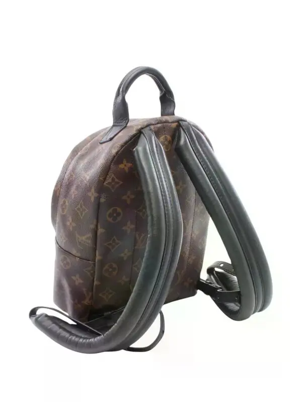 LOUIS VUITTON 2019 Monogram Palm Springs Pm Backpack - Brown