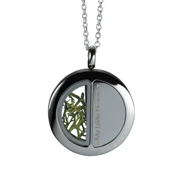 MY LITTLE NATURE Two Tone Necklace With Natural Moss Pendant - Silver/green