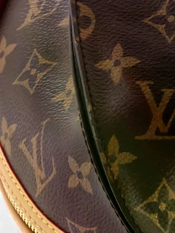 LOUIS VUITTON Egg Souple Monogram Canvas And Leather Satchel - Black