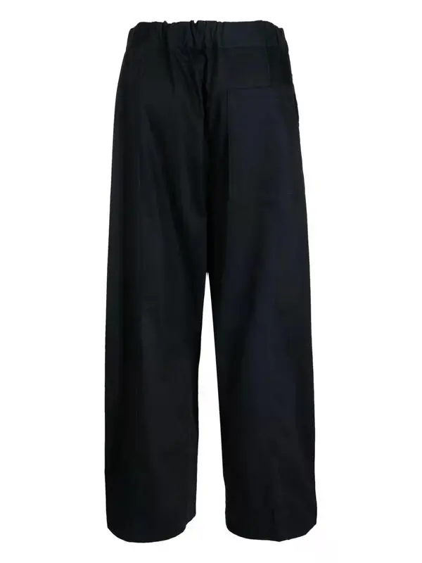 SAGE NATION Box-pleat Wide-leg Trousers
