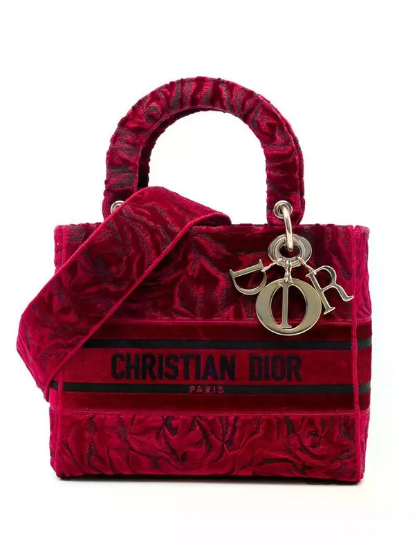 Dior Lady D-lite Embroidered Velvet Satchel - Red