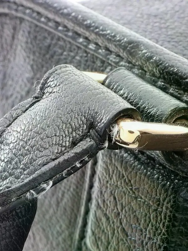 Loewe Amazona Tote Bag